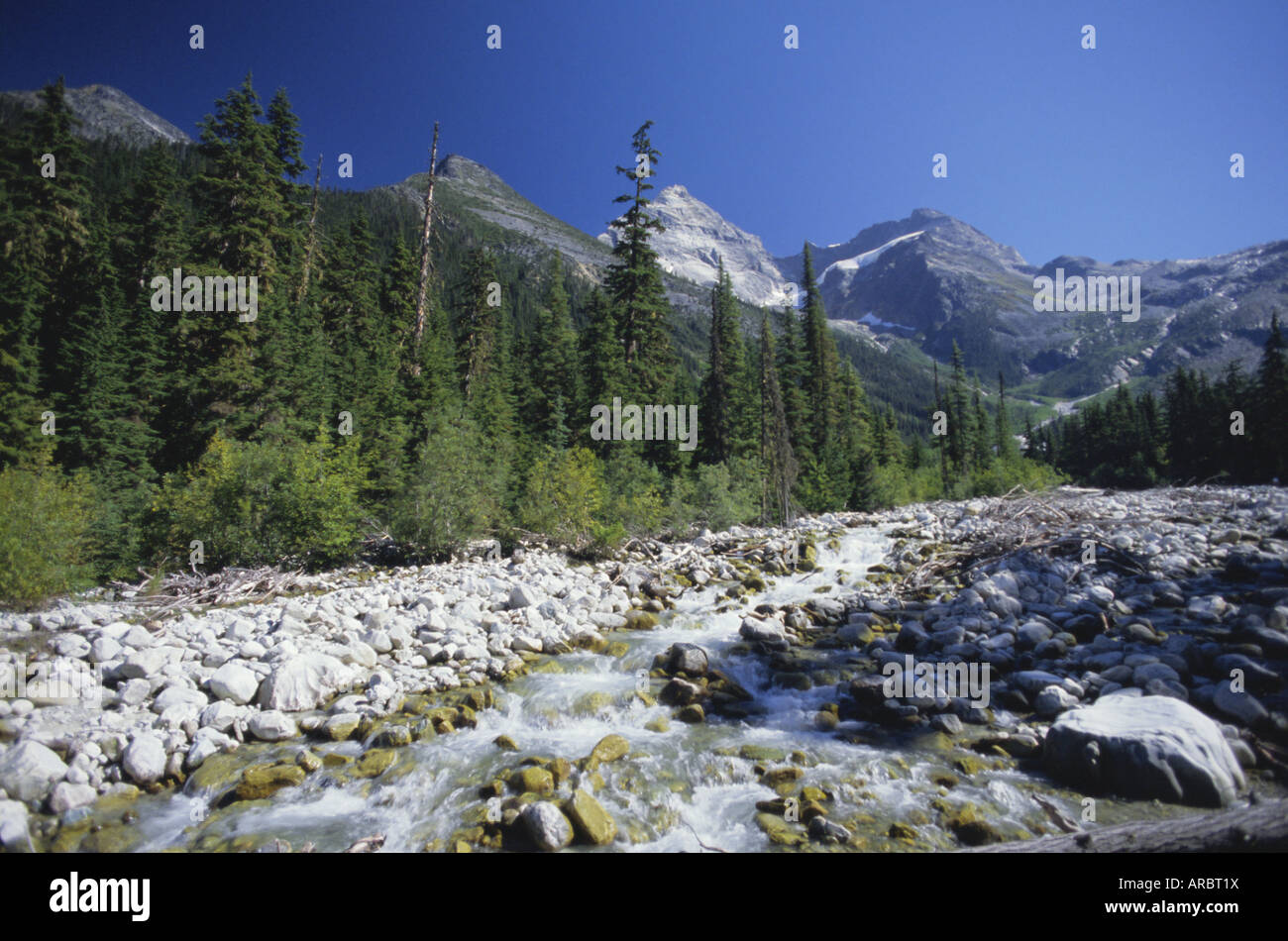 Selkirk provincial park hi-res stock photography and images - Alamy