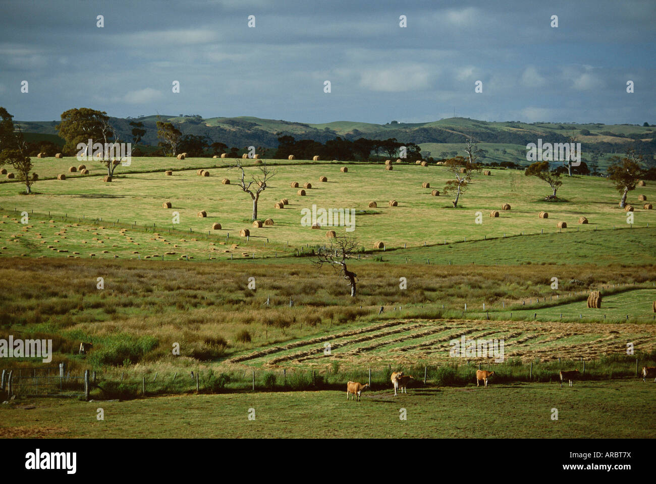 Willunga hill south australia hi-res stock photography and images - Alamy