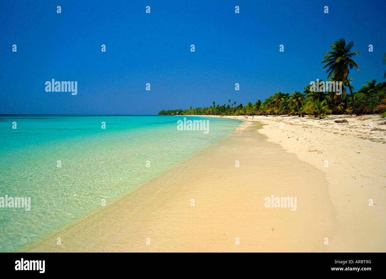 Roatan honduras surf hi-res stock photography and images - Alamy
