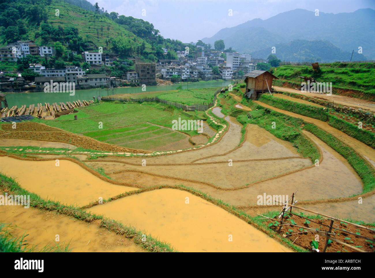 Rice paddies in Longsheng, Guangxi, China Stock Photo - Alamy