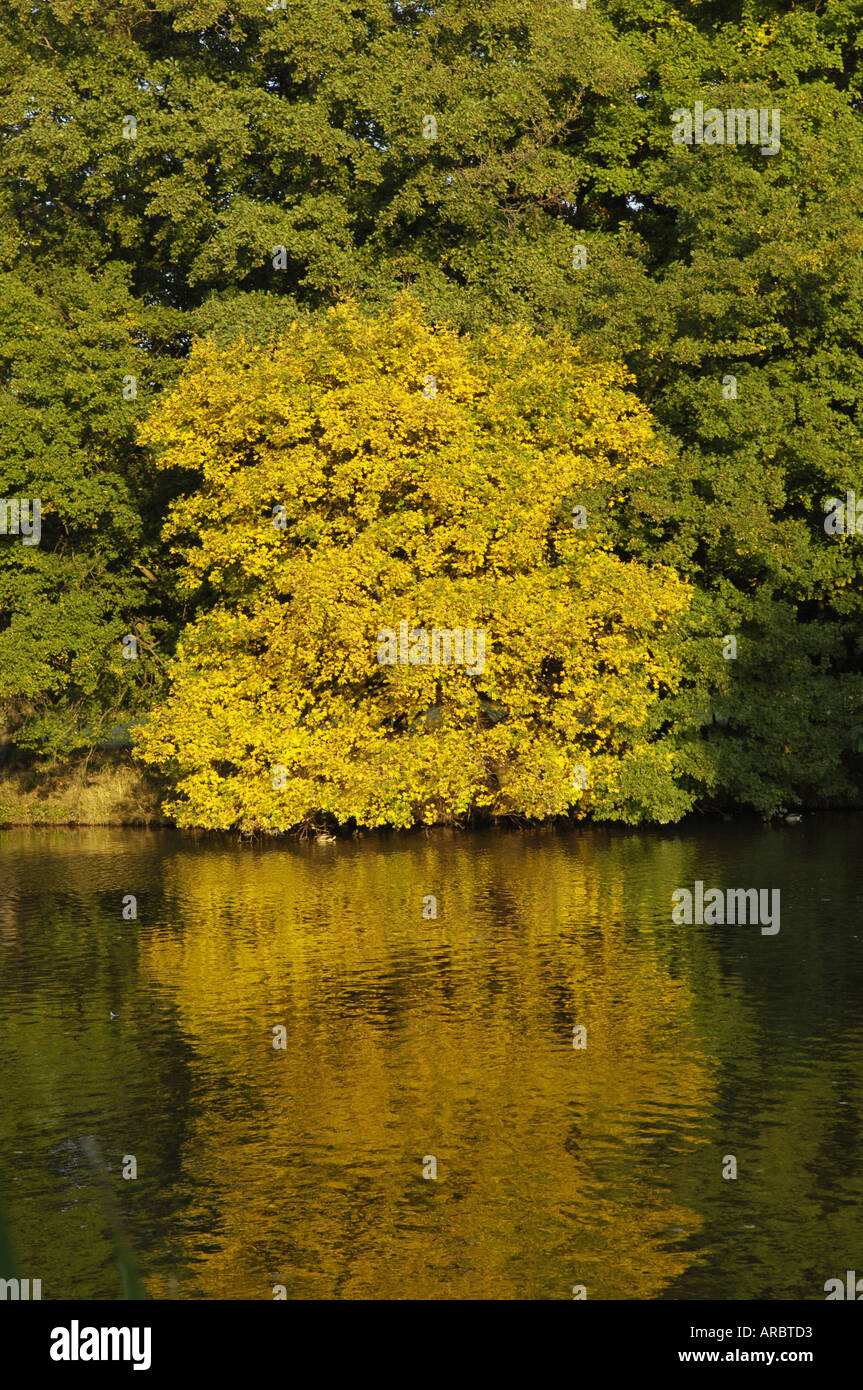 UNESCO World Heritage Lednice landscape garden Stock Photo - Alamy