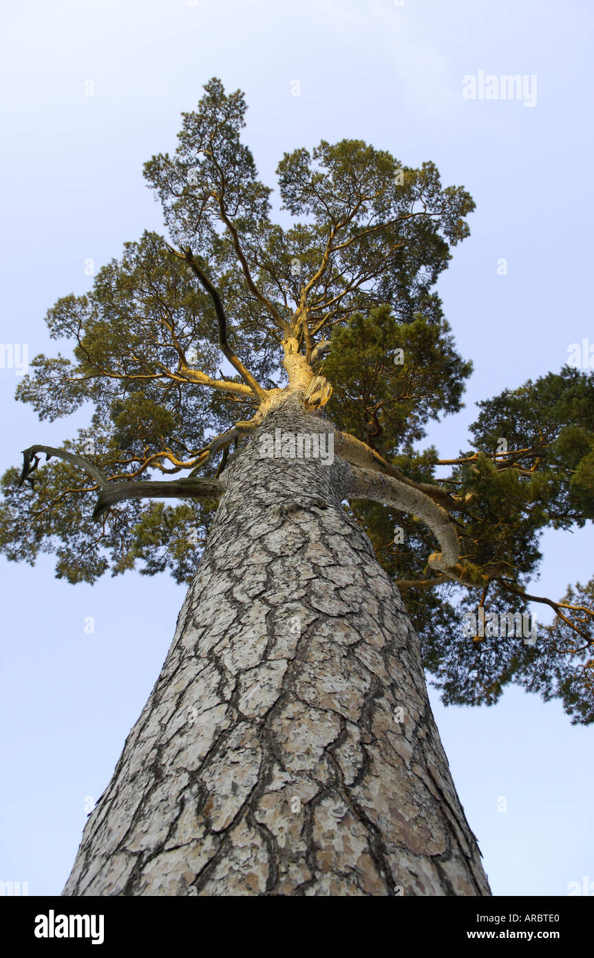 UNESCO World Heritage, Lednice, landscape garden Stock Photo - Alamy