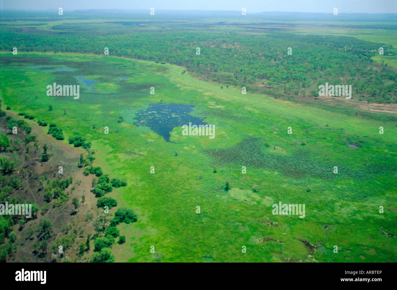 Wetlands, East Alligator River that forms the border between Arnhemland and Kakadu National Park ...