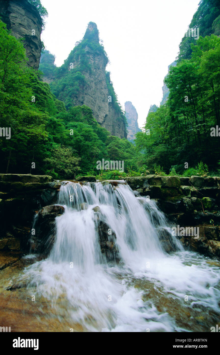 Limestone outcrops, forests and waterfalls of Zhangjiajie Forest Park ...