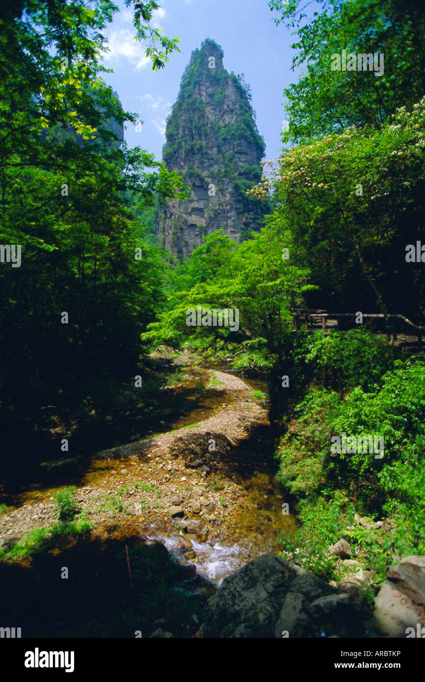 Forest valleys hi-res stock photography and images - Alamy