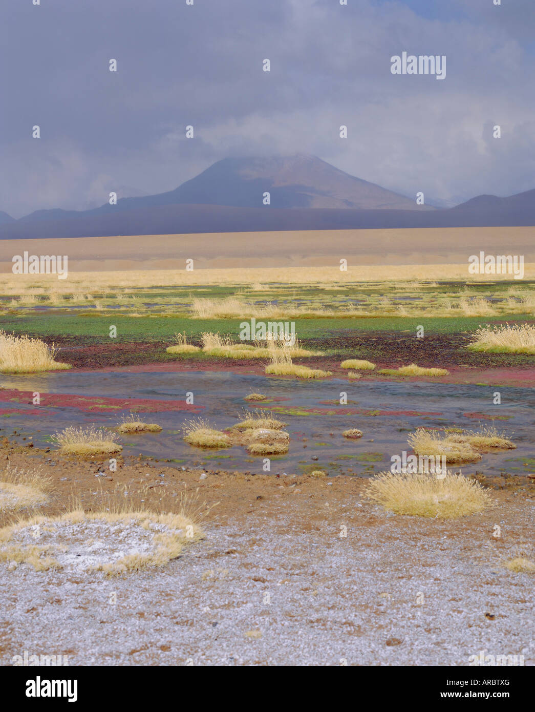 Putana hi-res stock photography and images - Alamy