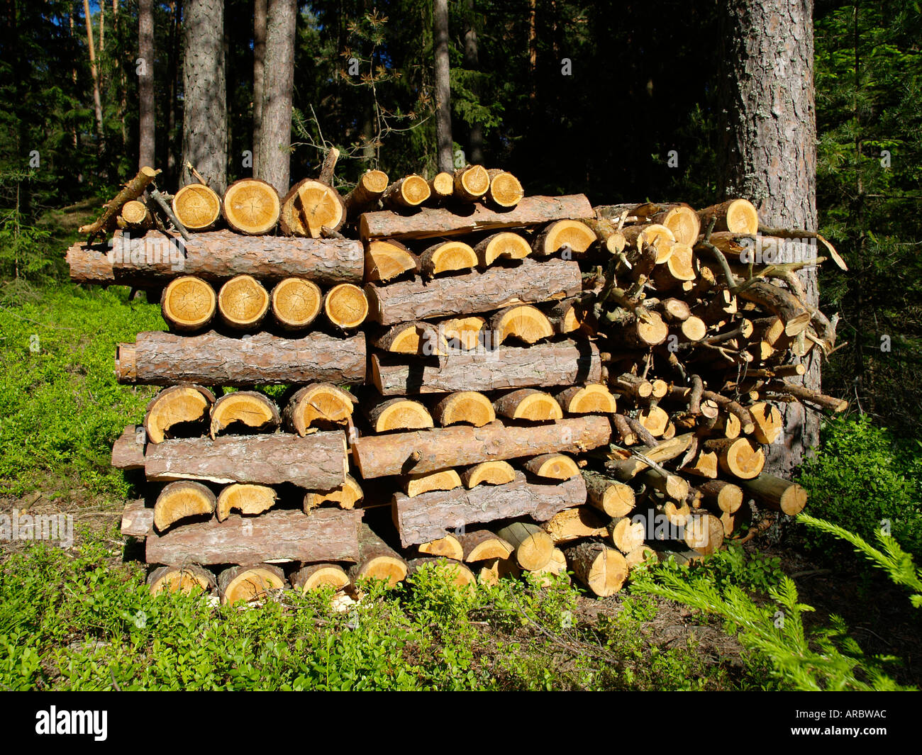 Pile of fuelwood hi-res stock photography and images - Alamy