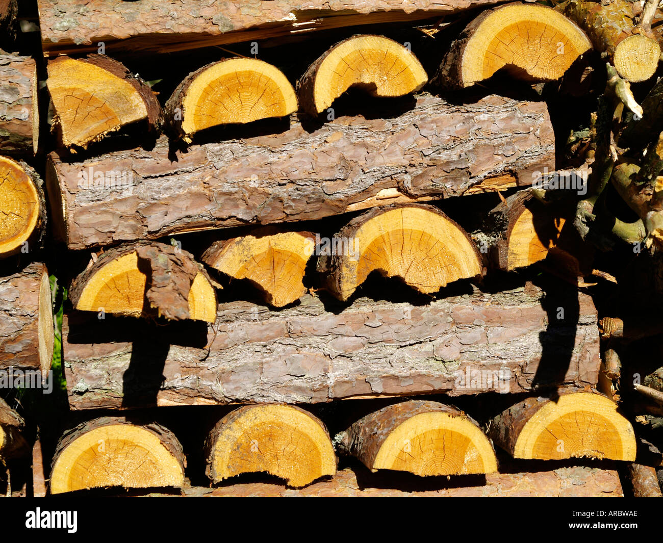 pile of wood Stock Photo - Alamy