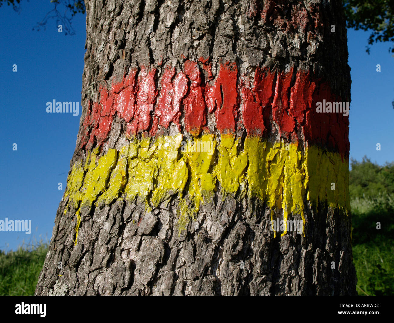Road Edge Marker Stock Photos & Road Edge Marker Stock Images - Alamy