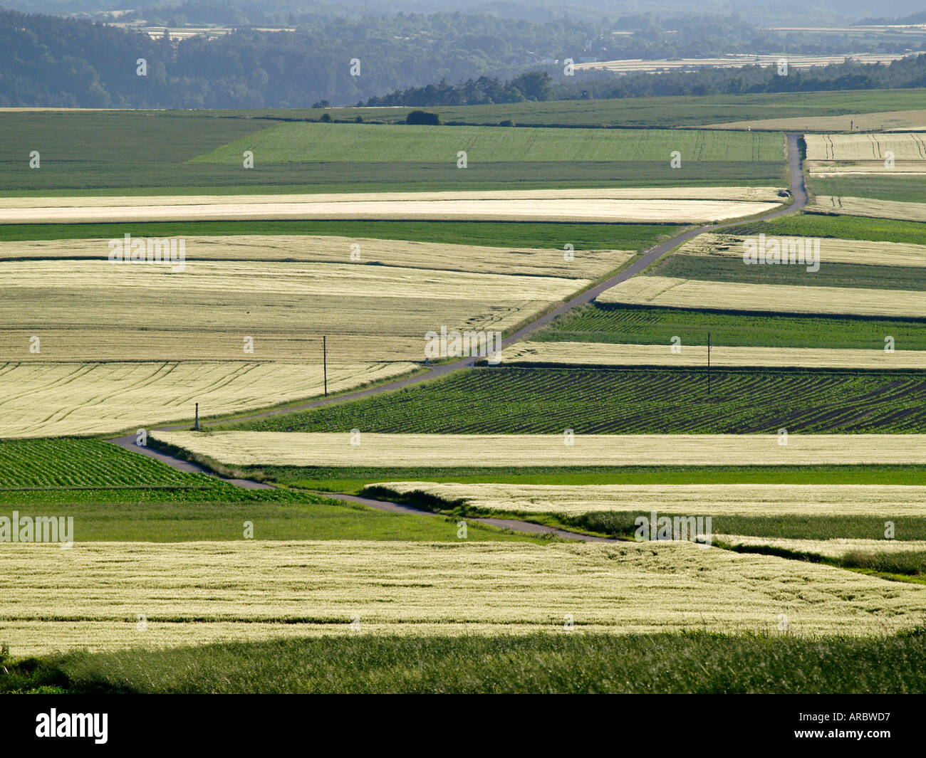 Product of the land hi-res stock photography and images - Alamy