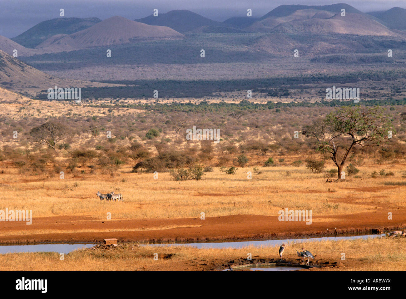 Tsavo park aerial hi-res stock photography and images - Alamy