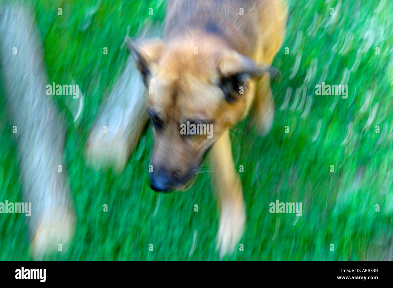 Move dynamic hi-res stock photography and images - Alamy