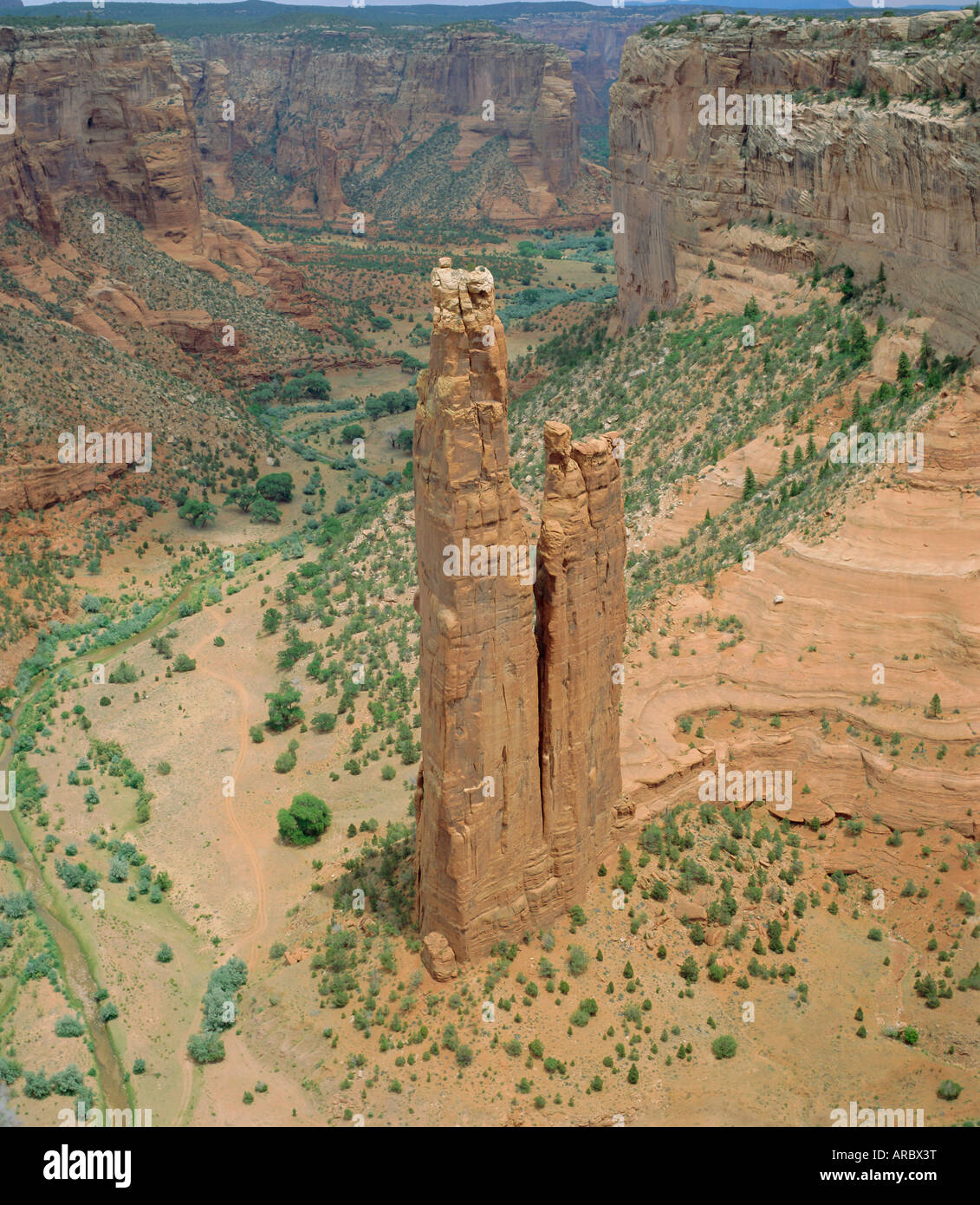 Column spider hi-res stock photography and images - Alamy