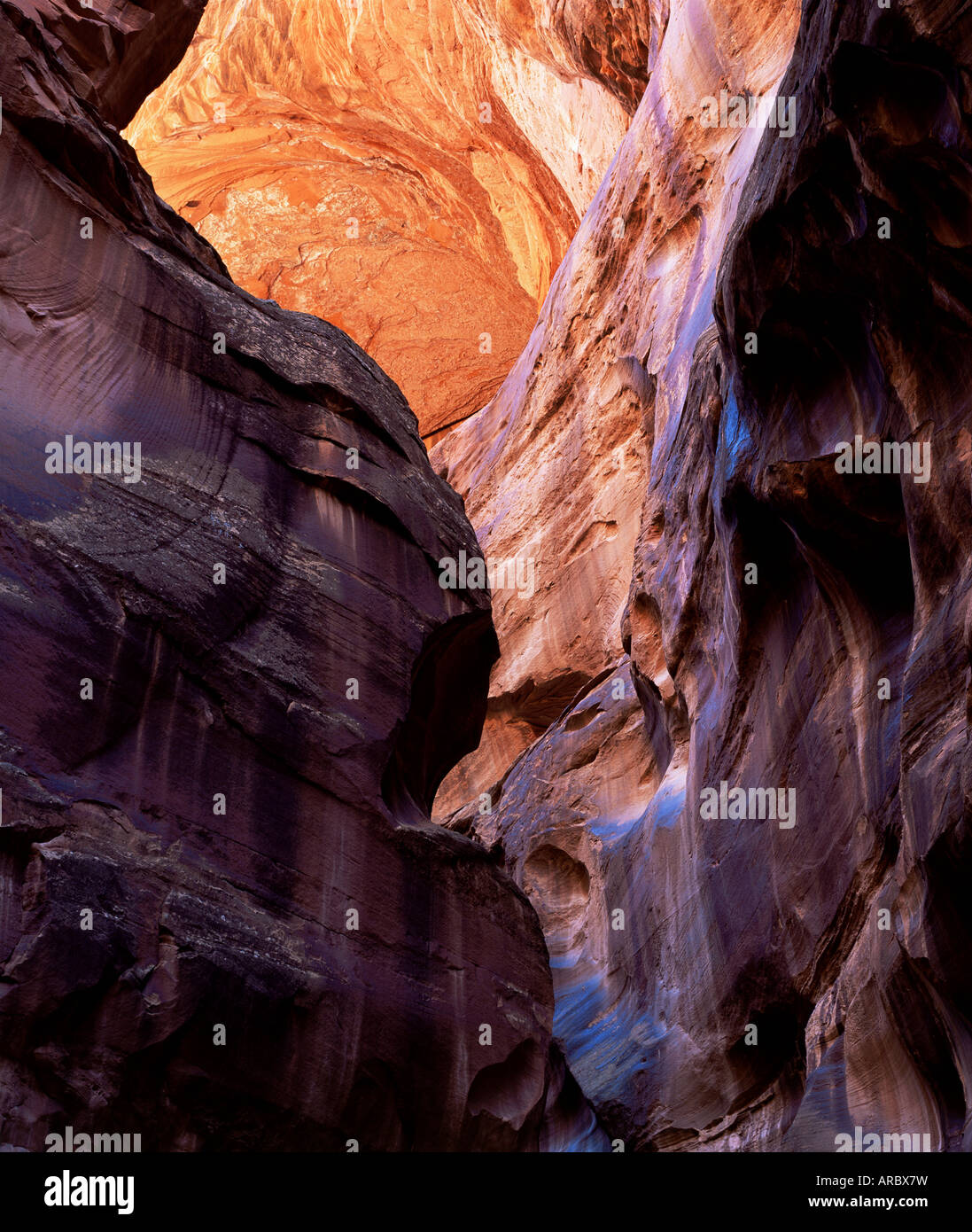Paria Canyon, a slot canyon, Arizona, United States of America (U.S.A ...