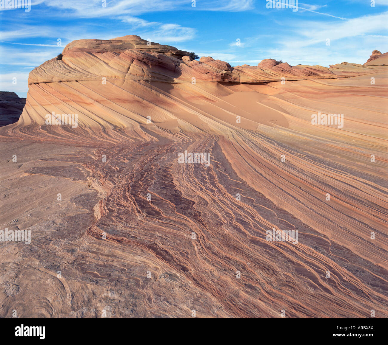 Rock formation known as Swirls on Colorado Plateau, Arizona, United ...