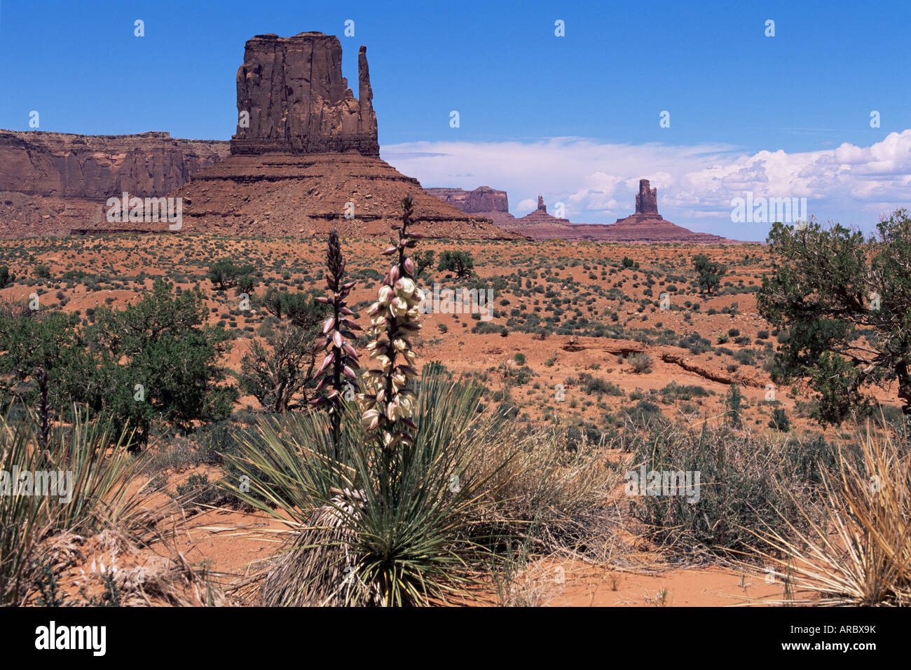 Monument Valley, Utah, United States of America (U.S.A.), North America ...