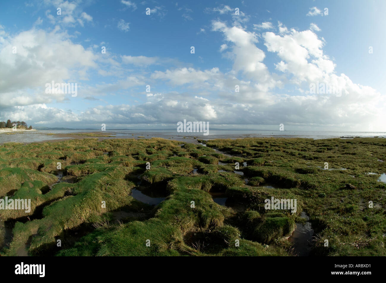 Tidal geography hi-res stock photography and images - Alamy