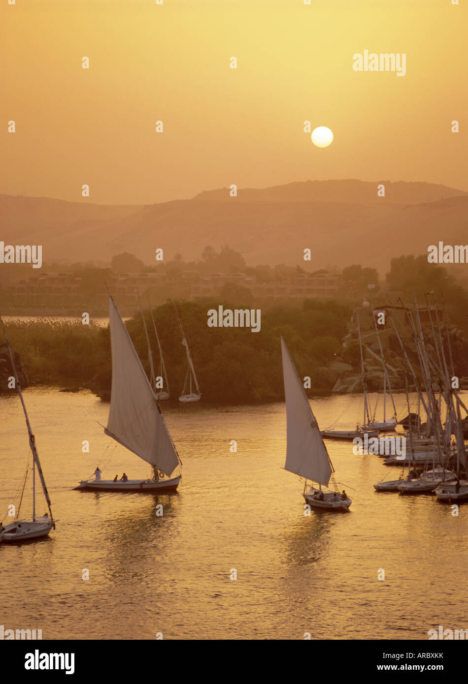 Feluccas on the nile river at sunset hi-res stock photography and ...