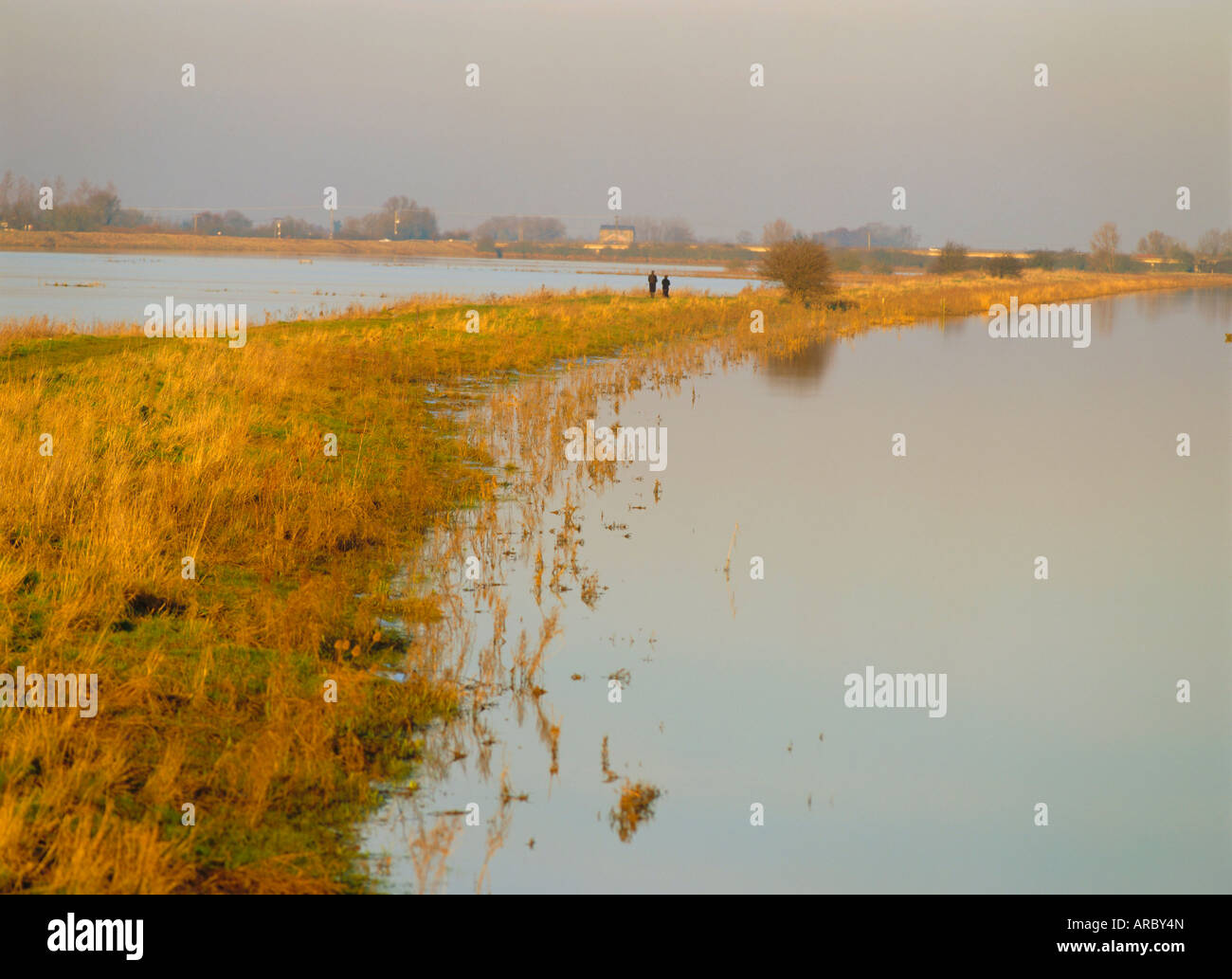 Walkers on The Fens in November, Norfolk, England Stock Photo - Alamy