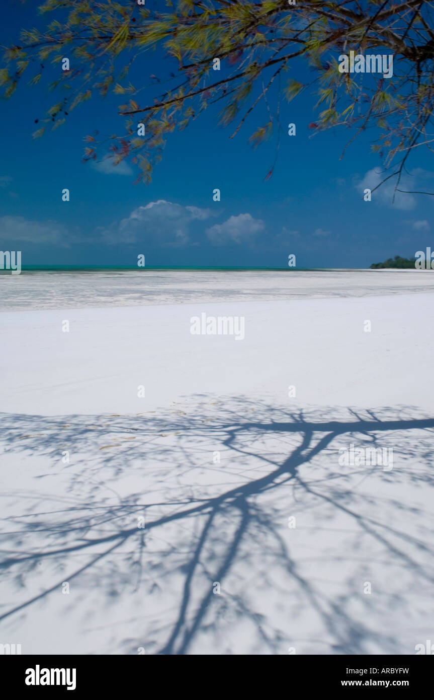 Michamvi beach hi-res stock photography and images - Alamy