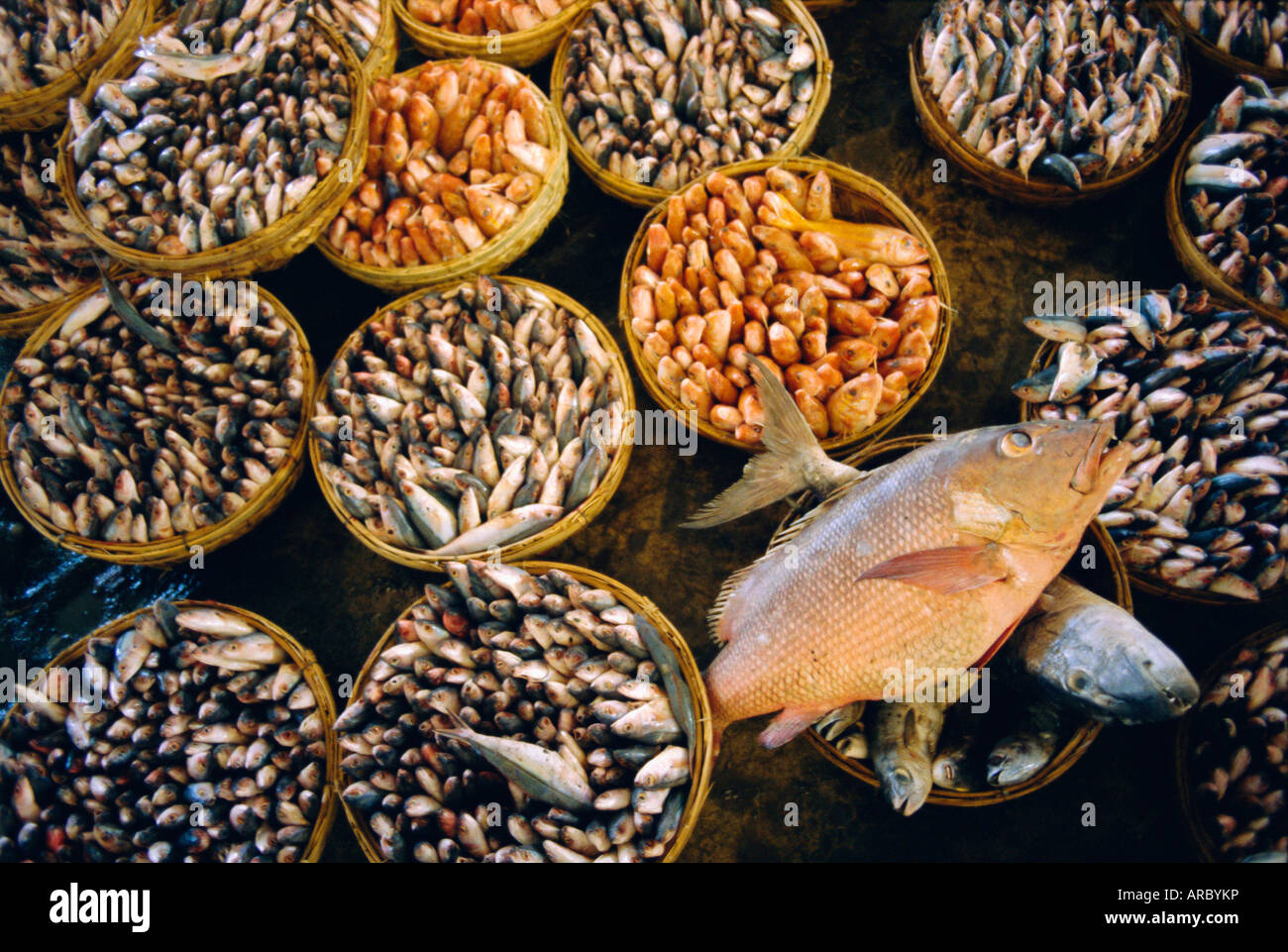 Fish market, Hue, Vietnam Stock Photo - Alamy