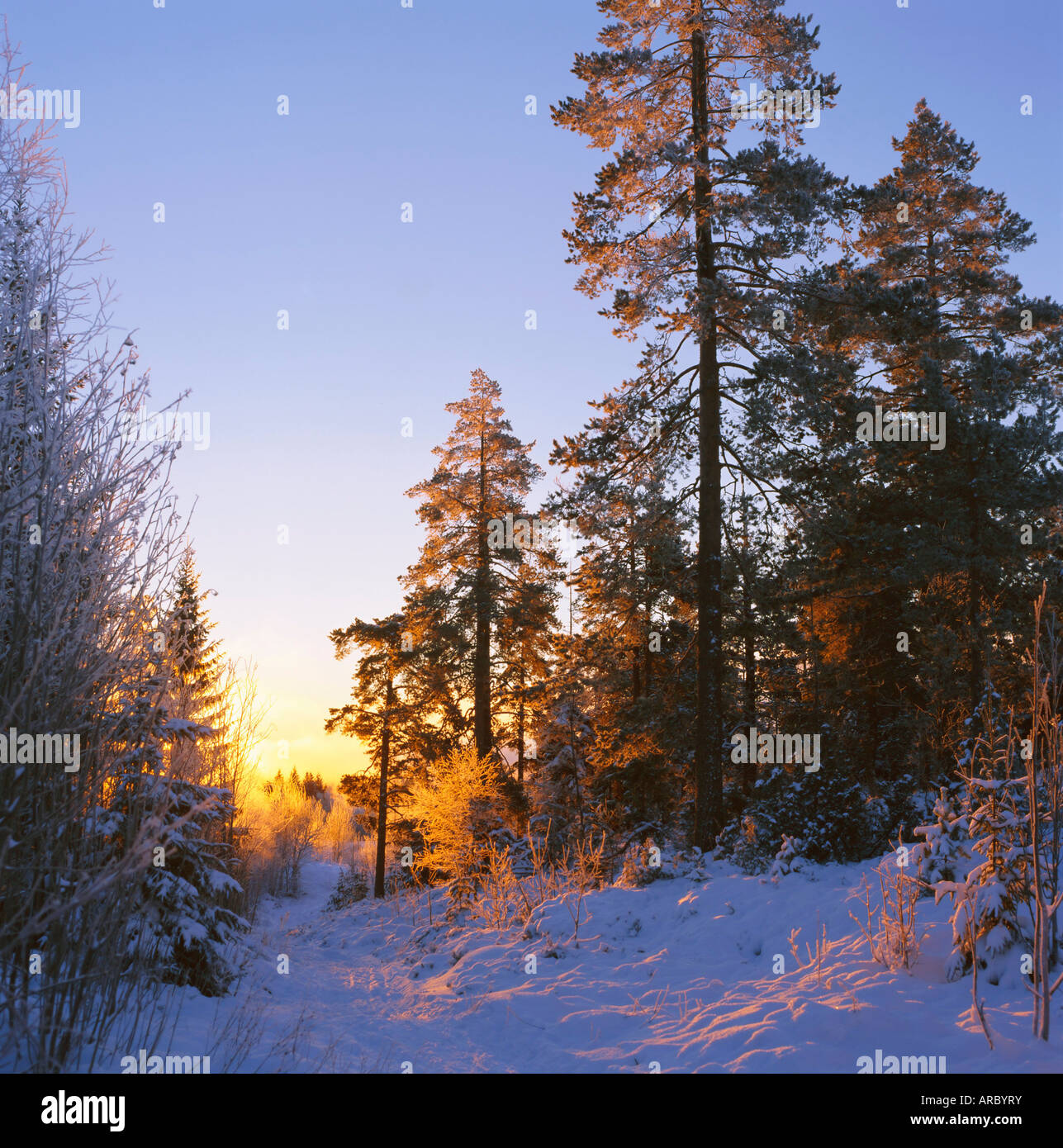 Near oslo norway hi-res stock photography and images - Alamy