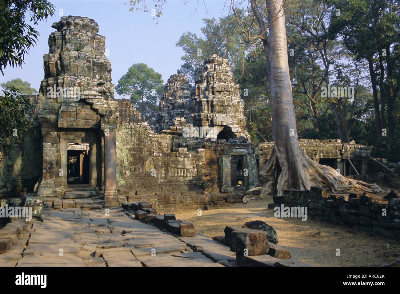 Ruins at archaeological site, Ta Prohm temple, Angkor, UNESCO World ...