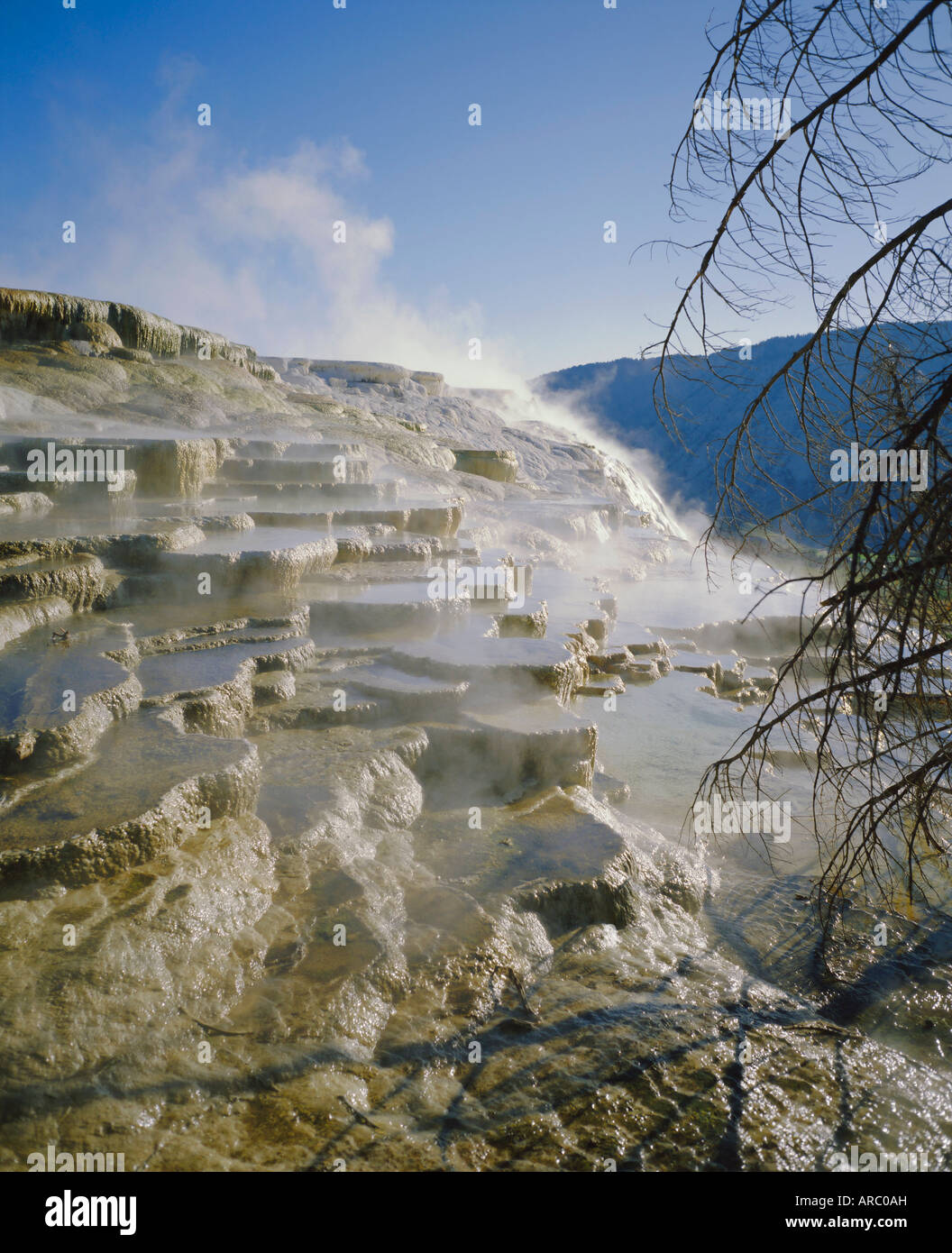 Canary Springs, Mammoth Hot Springs, Yellowstone National Park, Wyoming ...