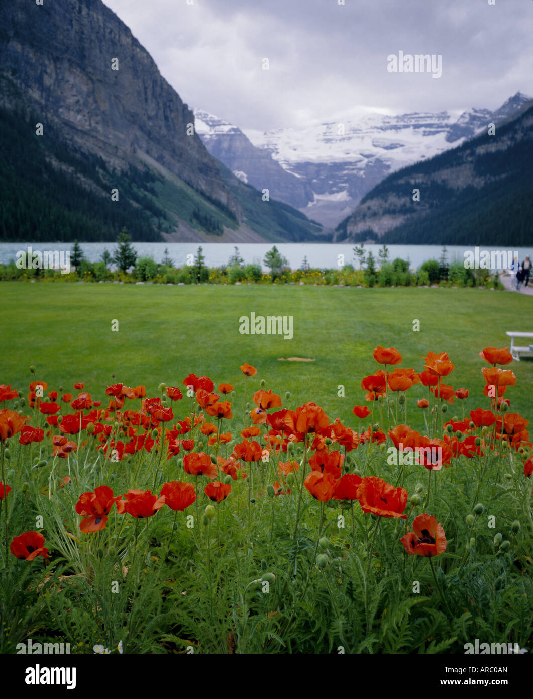 Lake Louise, Banff National Park, UNESCO World Heritage Site, Rocky ...