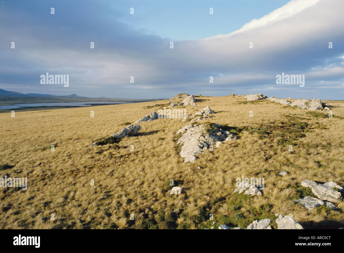 Typical landscape, East Falklands, Falkland Islands, South Atlantic ...