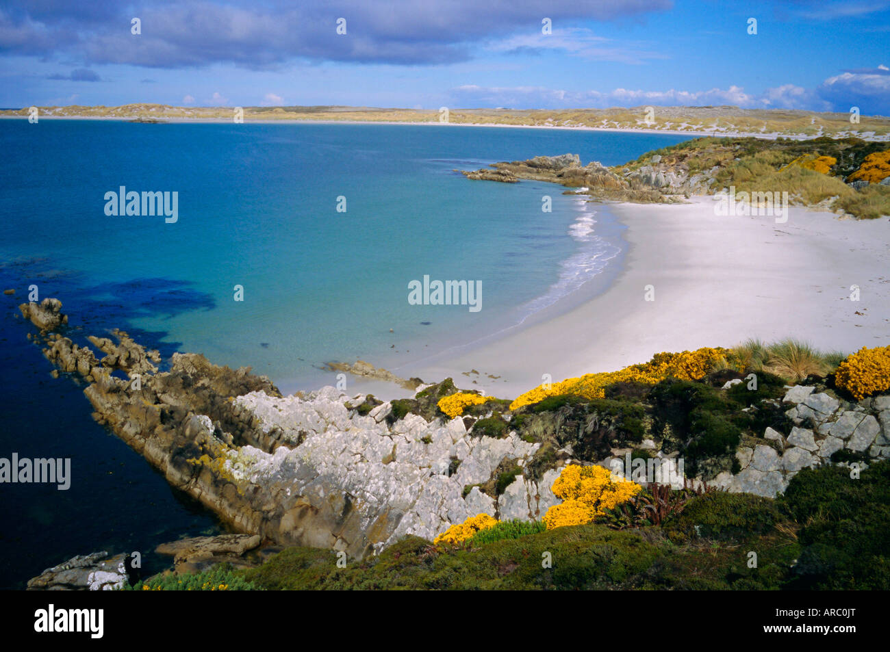 Surf bay falklands hi-res stock photography and images - Alamy