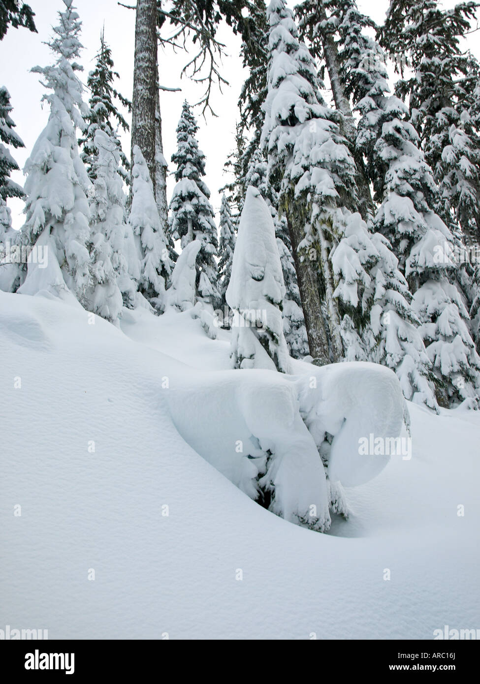 Lots of snow hi-res stock photography and images - Alamy