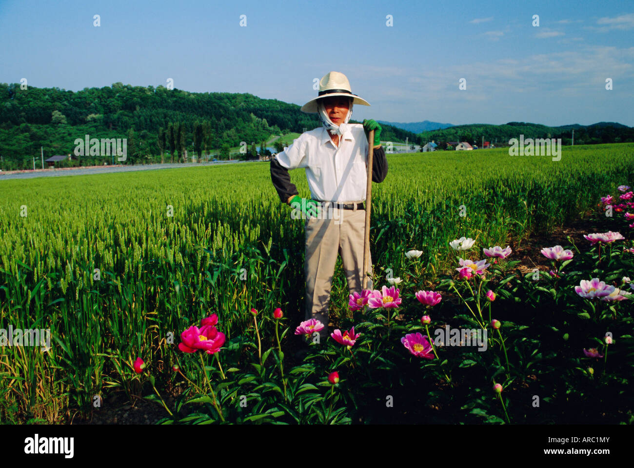 Japan farmer man hi-res stock photography and images - Alamy