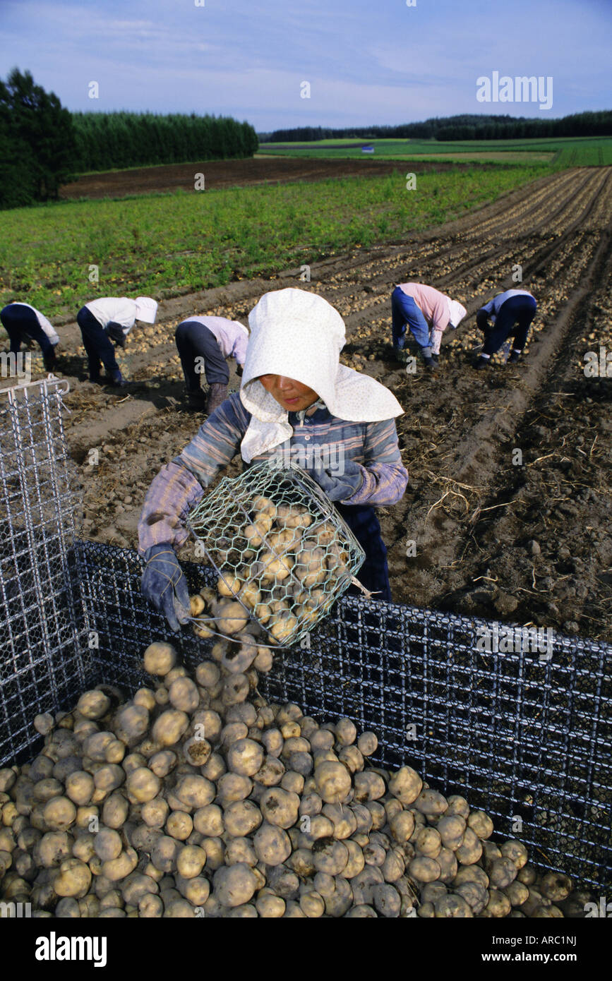 Vertical farming japan hi-res stock photography and images - Alamy