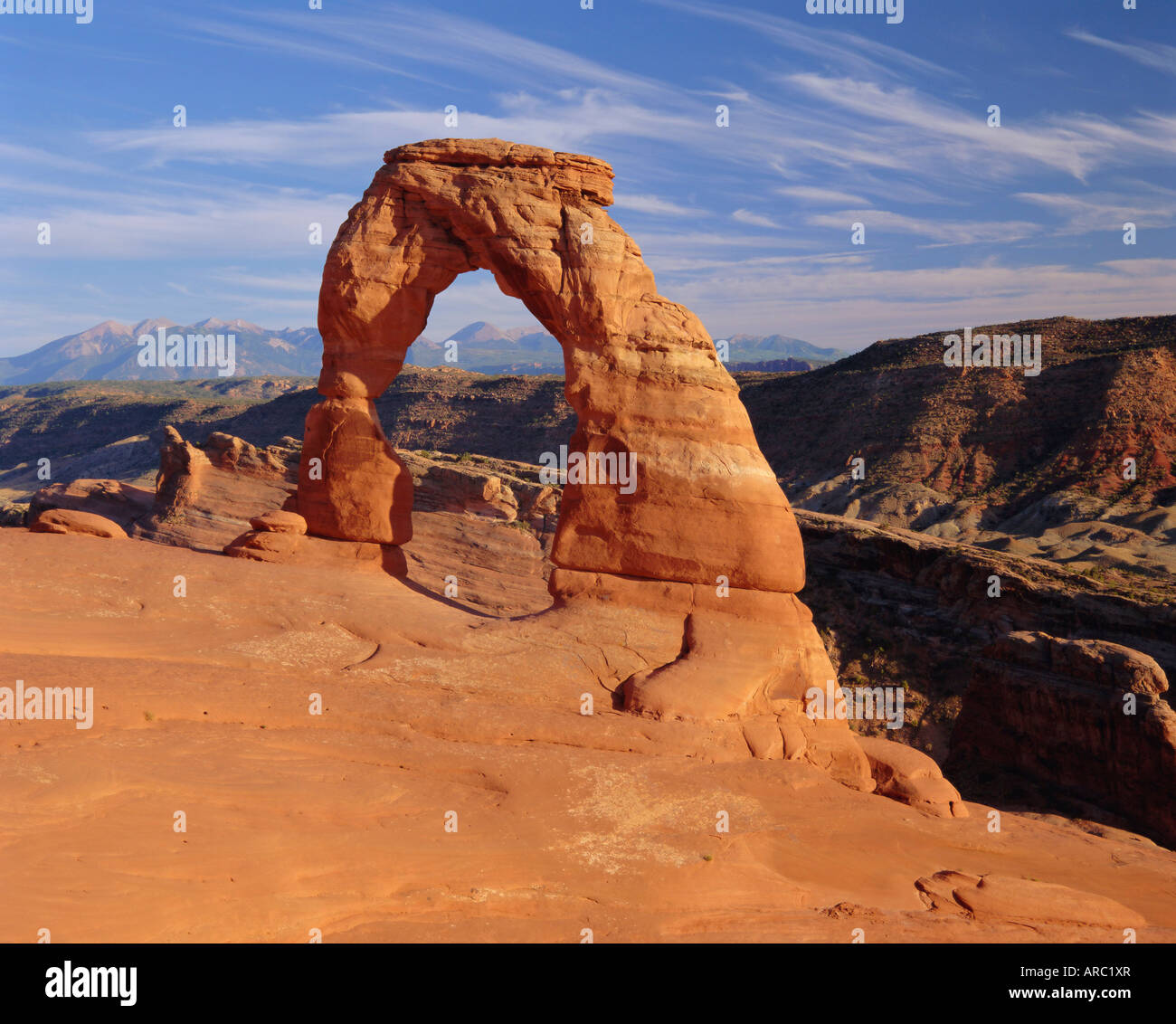 High wide hi-res stock photography and images - Alamy