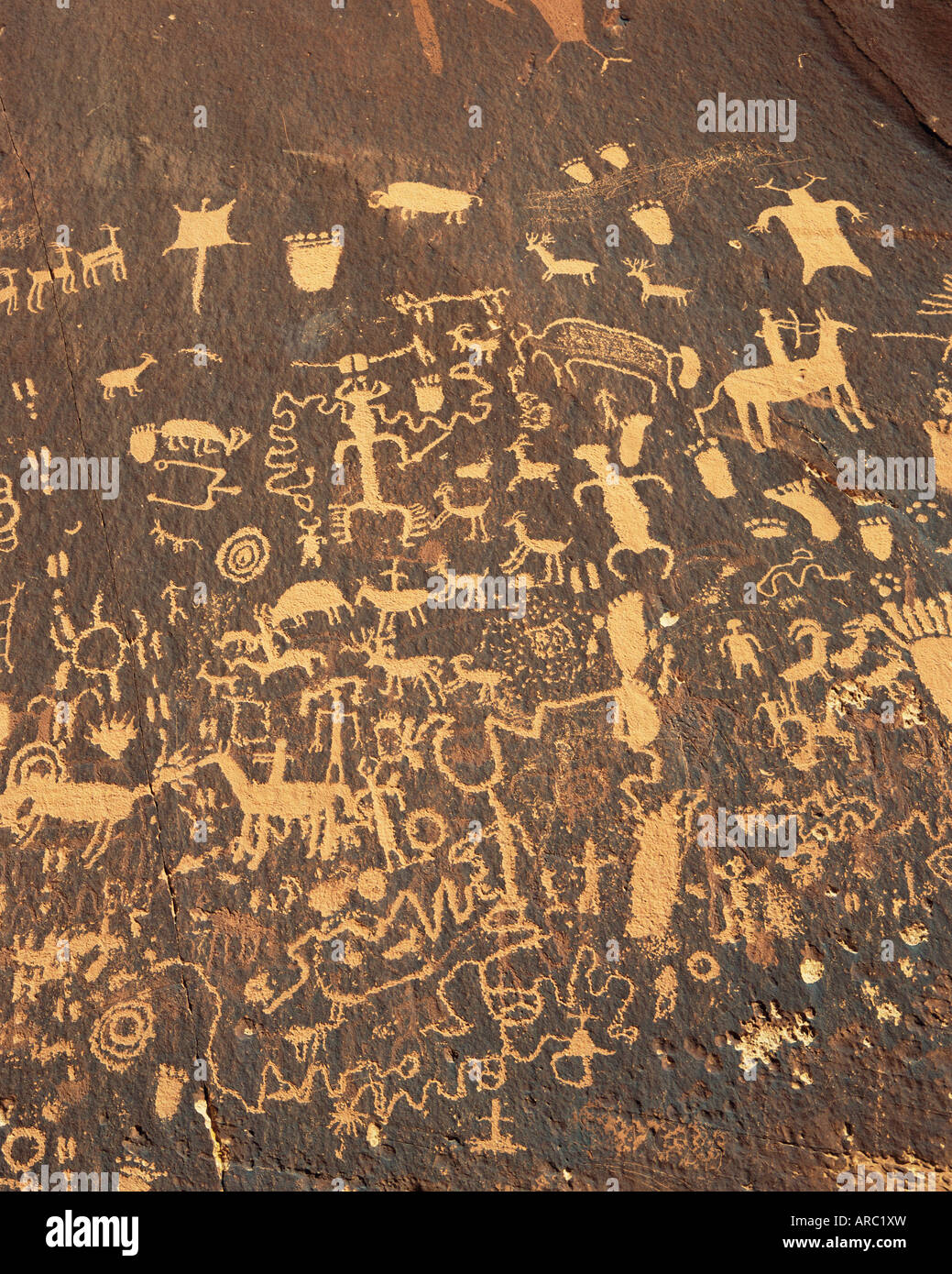 Newspaper Rock petroglyphs, Newspaper Rock State Park, Utah, USA, North ...