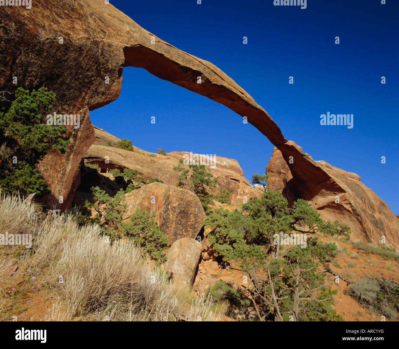 Arch height hi-res stock photography and images - Alamy