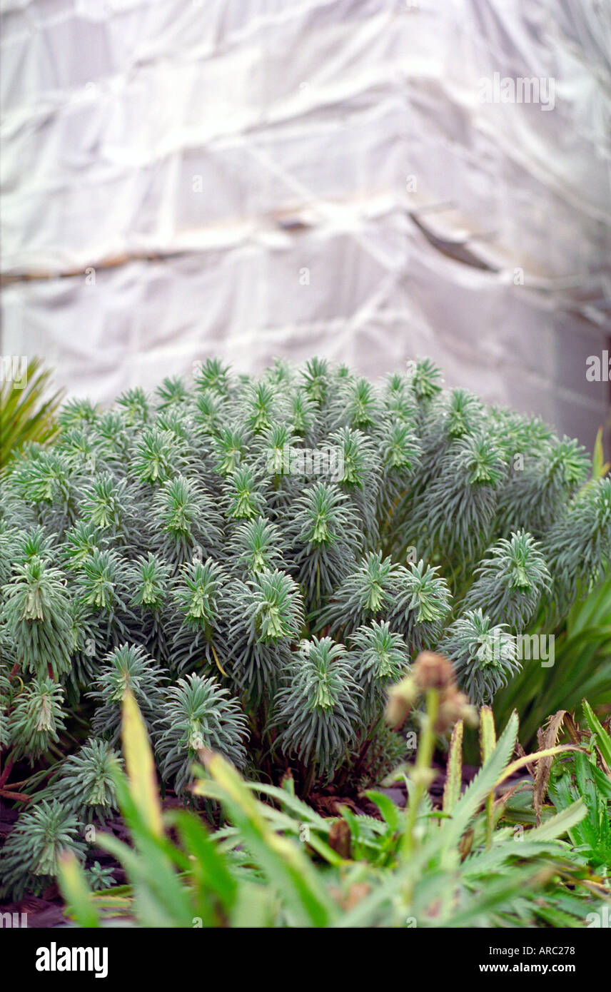 Spikey building hi-res stock photography and images - Alamy