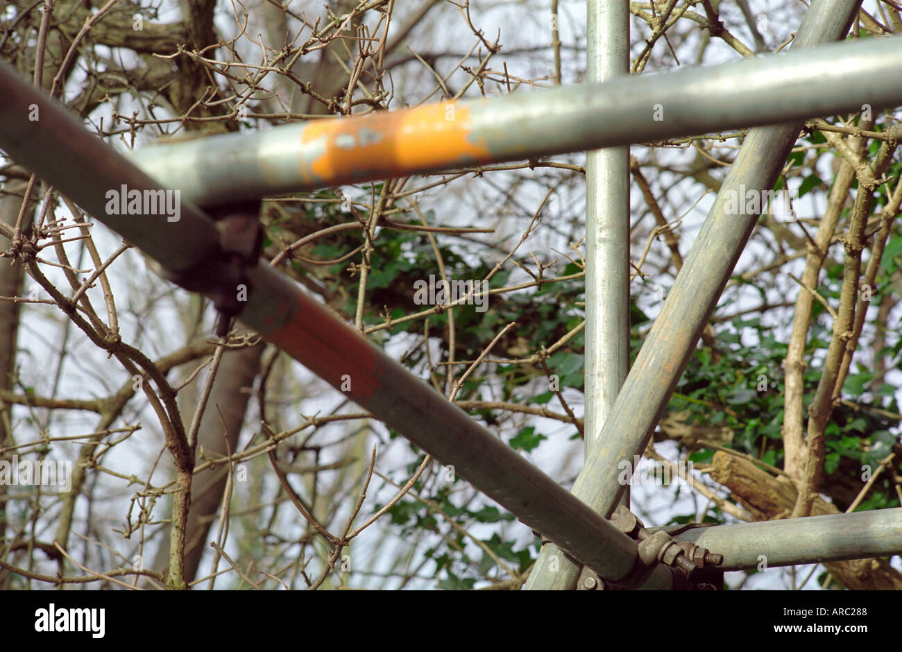 Scaffolding pipes in branches Stock Photo - Alamy