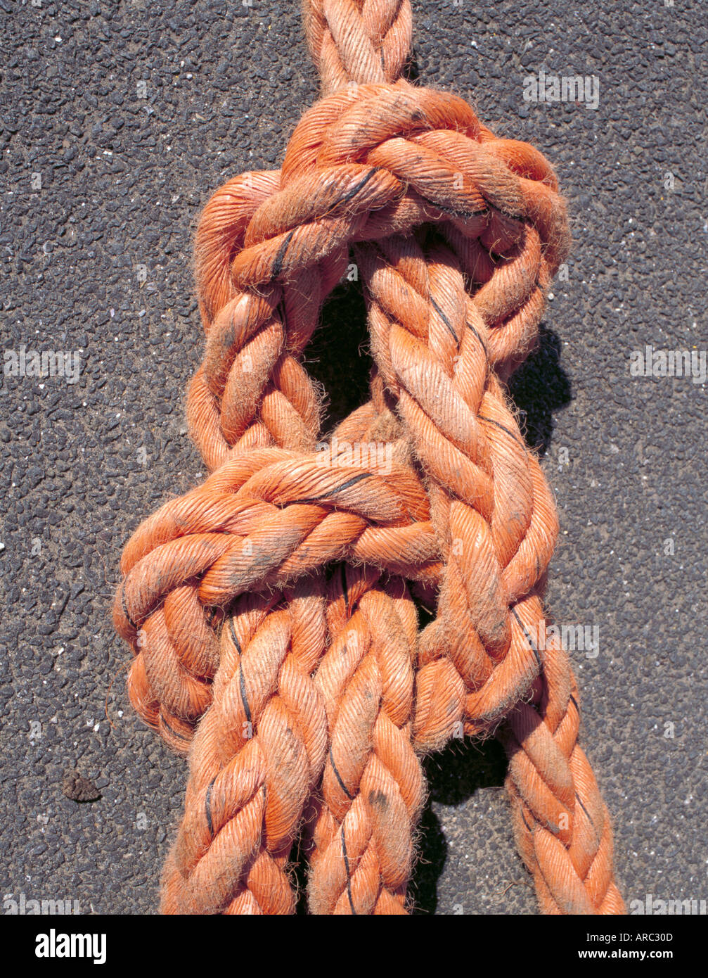 Bowline knot tied in heavy gauge nylon rope Stock Photo - Alamy