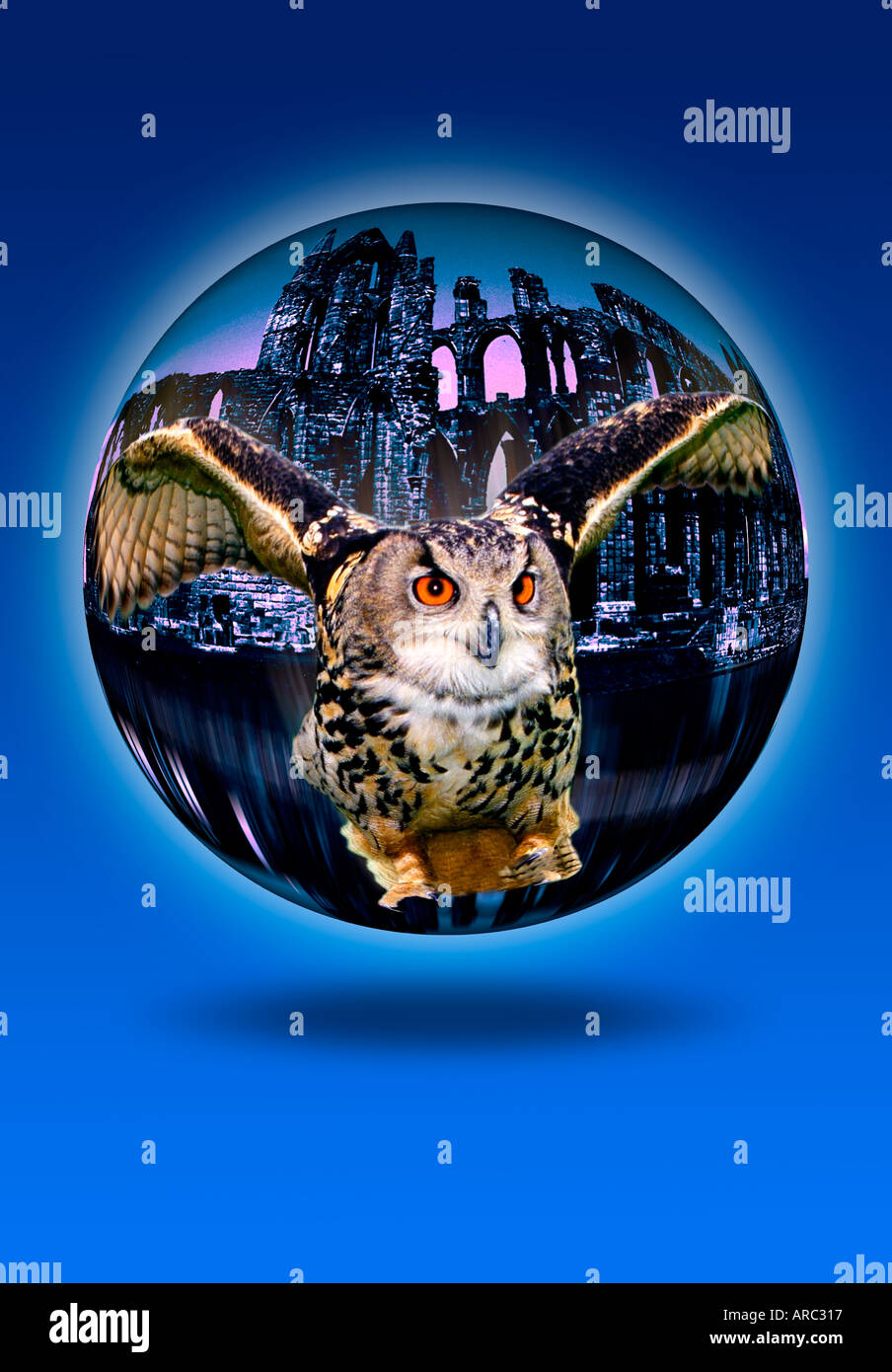 Owl crystal ball concept Stock Photo - Alamy