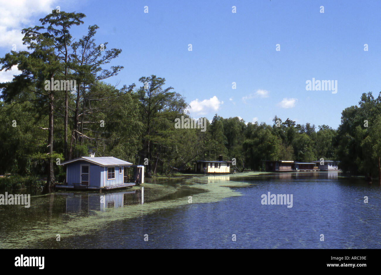 Grand bayou hi-res stock photography and images - Alamy
