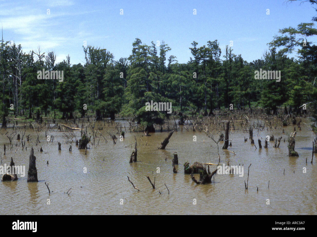 Bayou Near Senatobia Miss USA Stock Photo - Alamy
