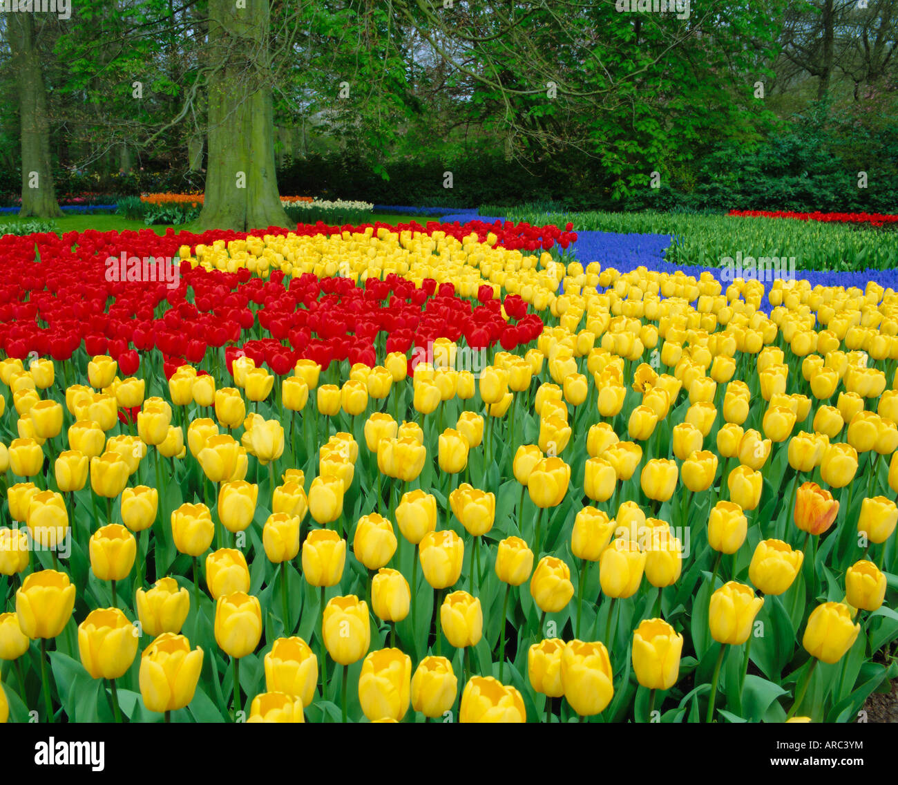 Cultivation of gardens hi-res stock photography and images - Alamy