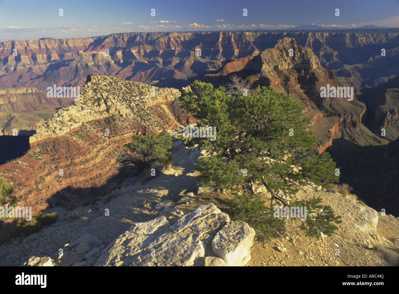 The Grand Canyon National Park, UNESCO World Heritage Site, Arizona ...