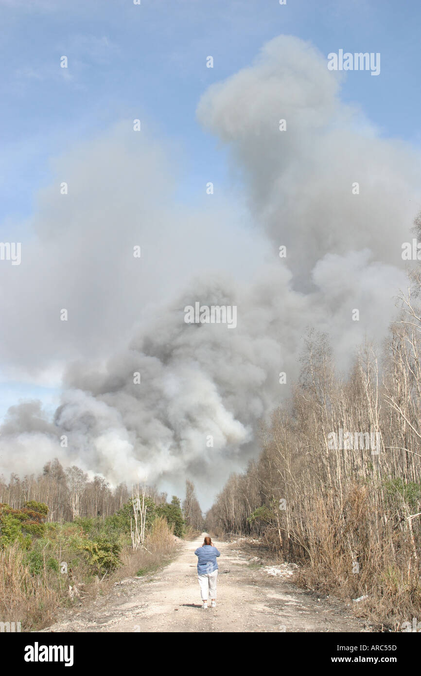 Miami Florida,Pennsuco,West Okeechobee Road,Everglades,wildfire,dry ...