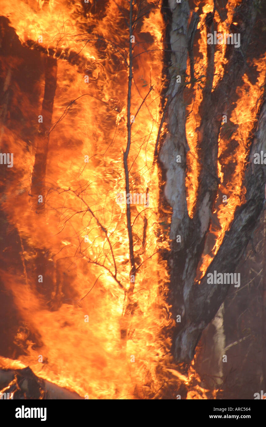 Miami Florida,Pennsuco,West Okeechobee Road,Everglades,fire,flame ...