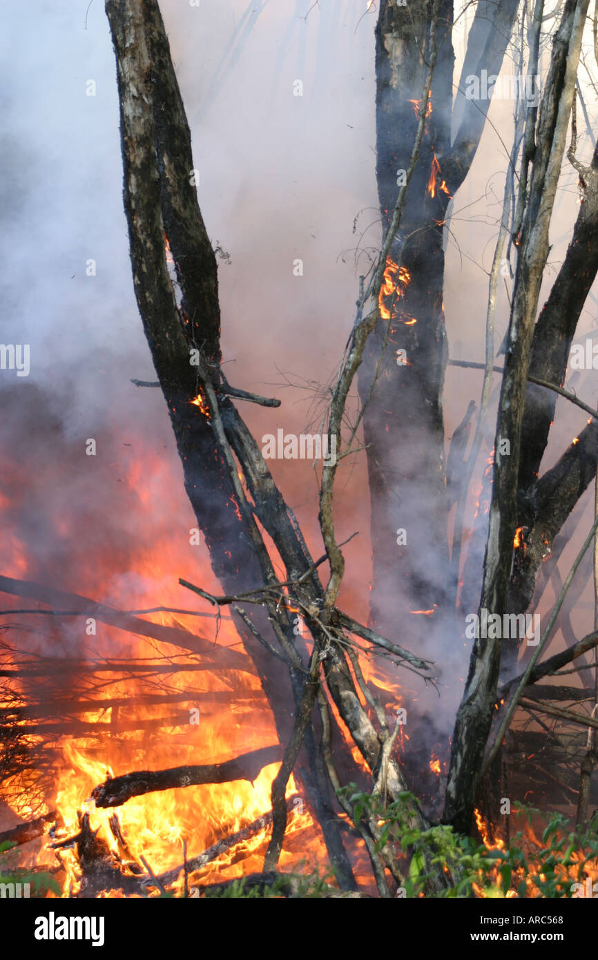 Miami Florida,Pennsuco,West Okeechobee Road,Everglades,fire,flame ...