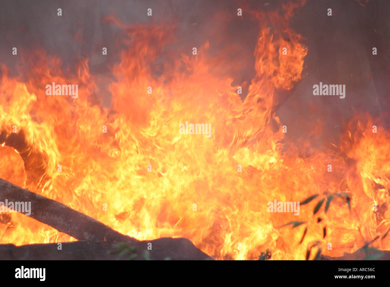 Miami Florida,Pennsuco,West Okeechobee Road,Everglades,fire,flame ...