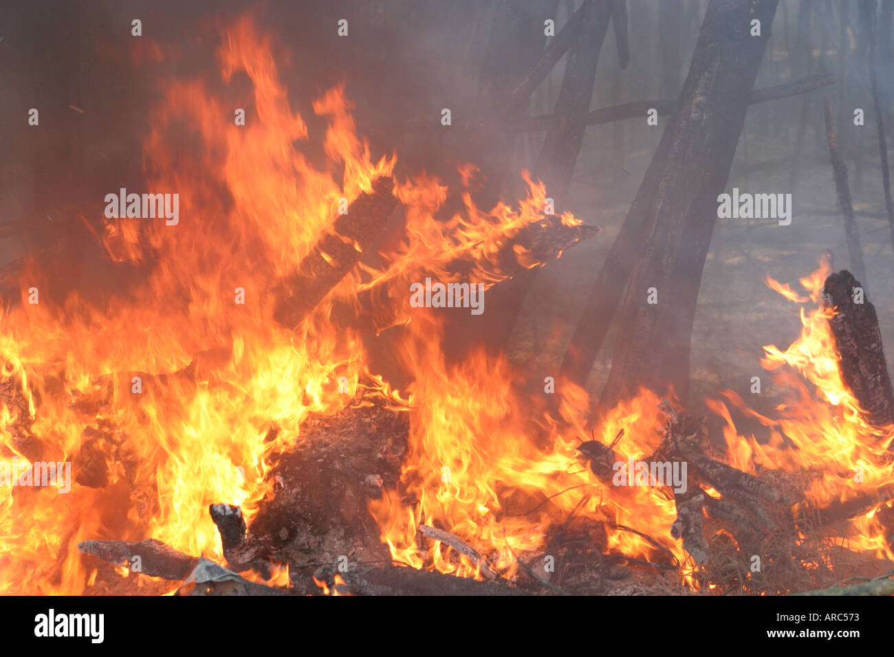 Miami Florida,Pennsuco,West Okeechobee Road,Everglades,fire,flame ...